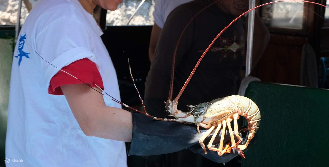 Immerse Yourself in Authentic Traditional Fishing Operations: Guided ...